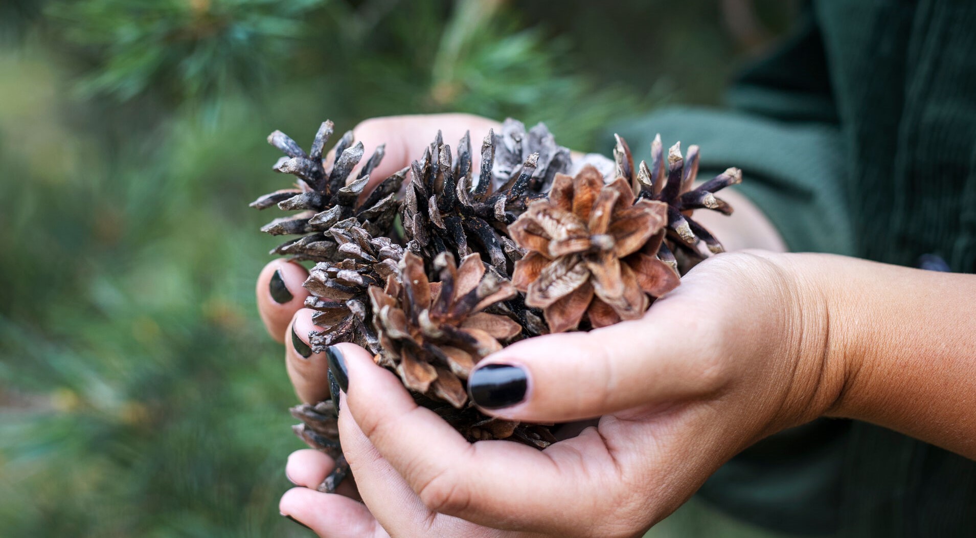 Sustainability - Teknos